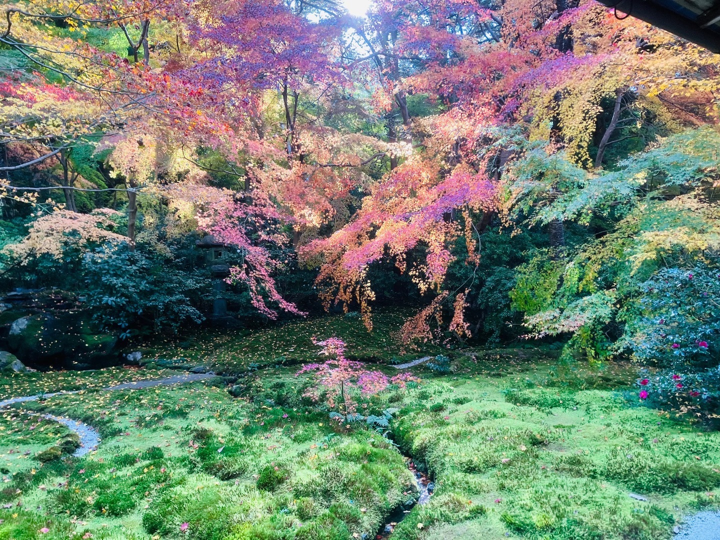 京都旅行1日目（12／7）: おとこの二拠点生活